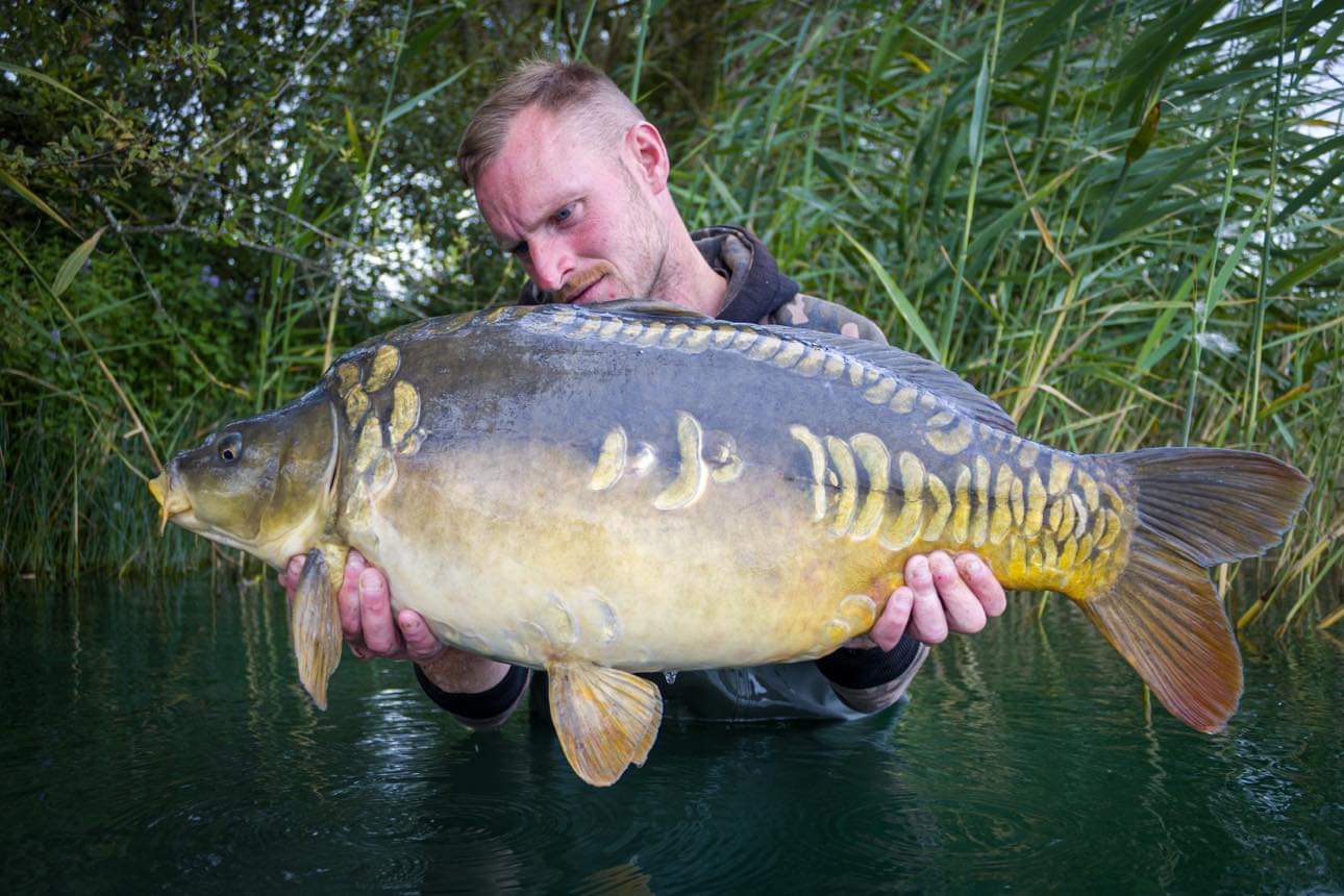 Mirror | Total Carp